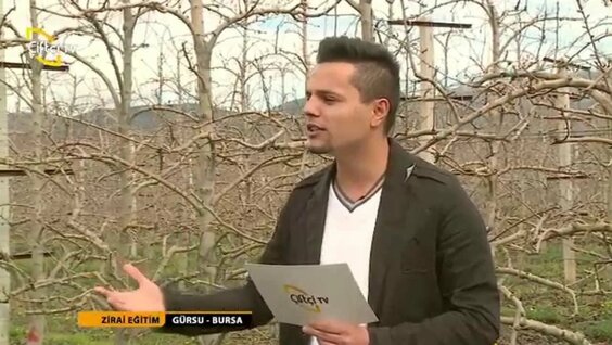 deveci armudu: 879 video Yandex'te bulundu