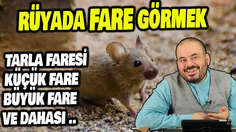 Rüyada fare görmek, rüyada fare öldürmek, rüyada fare yavrusu görmek ...