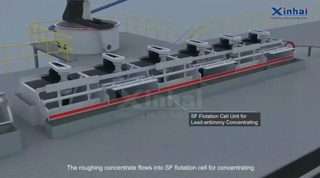 Flotation cell, Flotation process of Lead-zinc Beneficiation Plant in ...