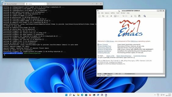 Windows 11 wsl2 install on a qemu virtual machine - EroFound
