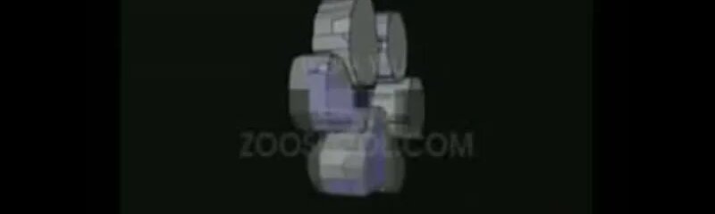 Zooskool stray x the record excellent 8 dogs fuck cute girl [animal zoo ...