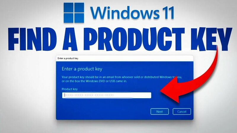 How to Find Windows 11 Product Key (3 Ways) Windows Key Finder - Yandex ...