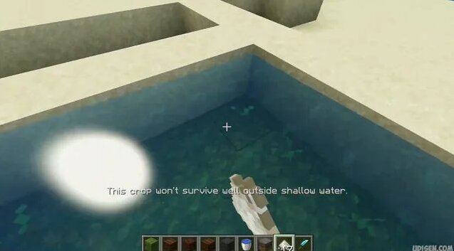 Minecraft Farmer's Delight WILD RICE | Minecraft Farmer's Delight how ...