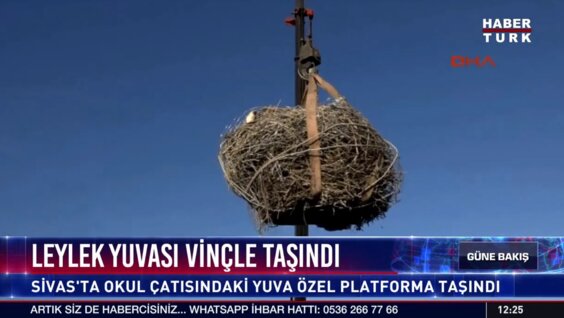 leylek yuvası boyama: 857 video Yandex'te bulundu