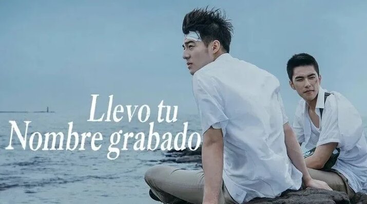 Видео (2020) [1080p] Llevo tu nombre grabado.Your Name Engraved Herein ...