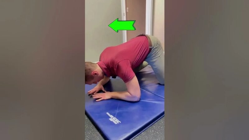 Increase shoulder and scapular stability — DNS Low Bear Exercises ...