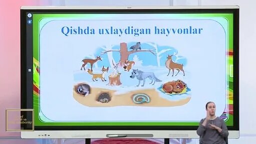 Qishda uxlaydigan xayvonlar. Qish ro'moli - Смотреть онлайн в поиске ...