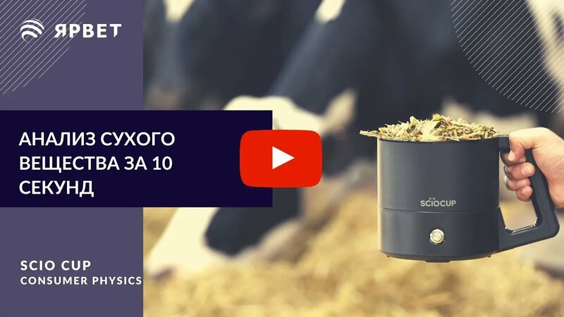 SCiO cup – измерение сухого вещества лабораторной точности - Смотреть ...