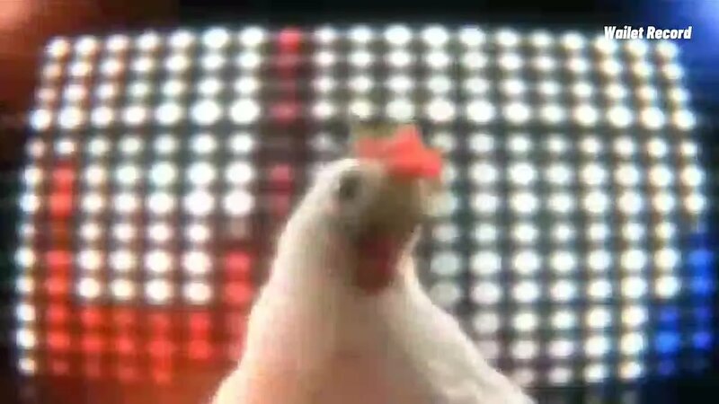 J. Geco - Chicken Song (Official Music Video) — Видео от Wailet Records ...
