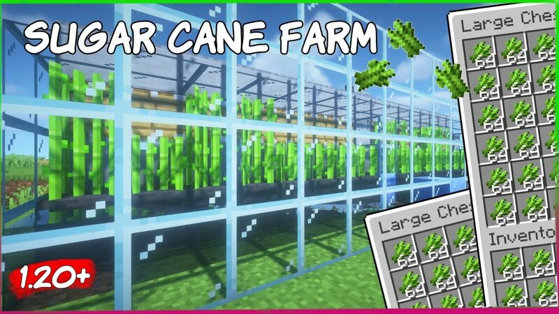 Automatic Sugar Cane Farm 1.20+ | Minecraft Build Tutorial - Yandex ...