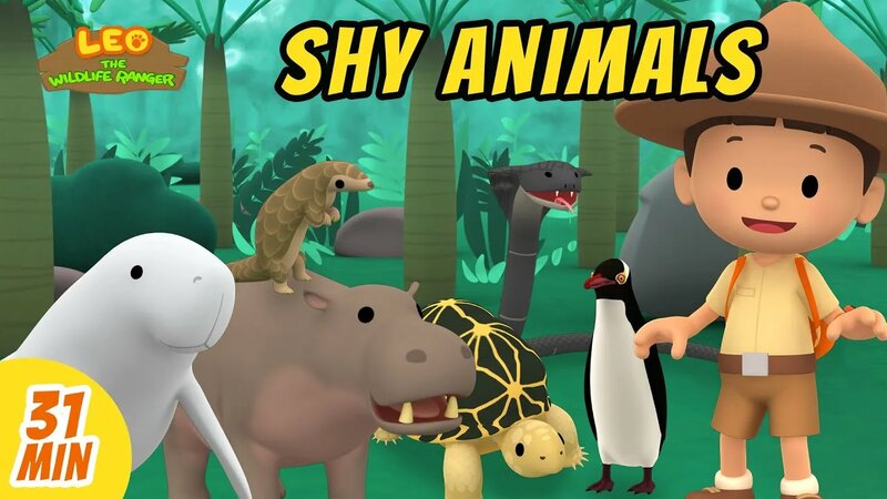 Shy Animals Videos Compilation | Leo the Wildlife Ranger | Fun Animal ...