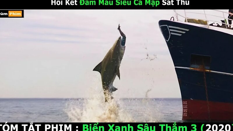 Thoát Hiểm Dưới Hàm Cá Mập Trong Gang Tất || Review Phim : Deep Blue ...