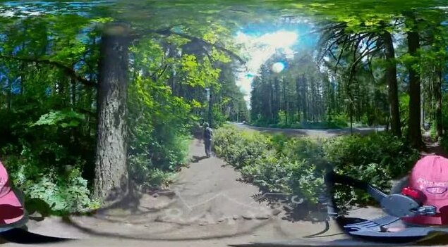 Virtual Hike 360° VR - Forest Walk along the Trail of Ten Falls - 8K ...