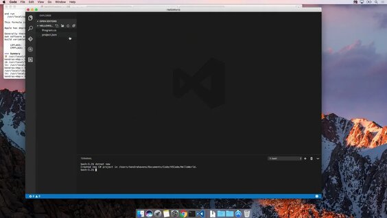 Get started with VS Code using C# and .NET Core - EroFound