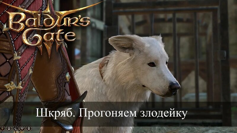 Baldur's Gate 3 Спасение Шкряба от Сердитой Мархийи | Собака курьер ...