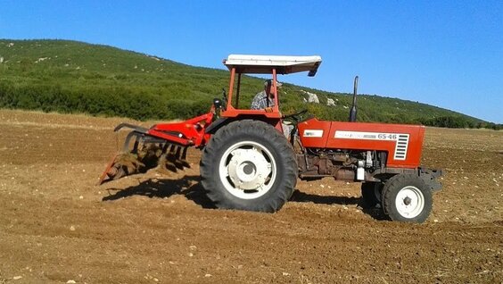 tarla resimleri: 1 bin video Yandex'te bulundu