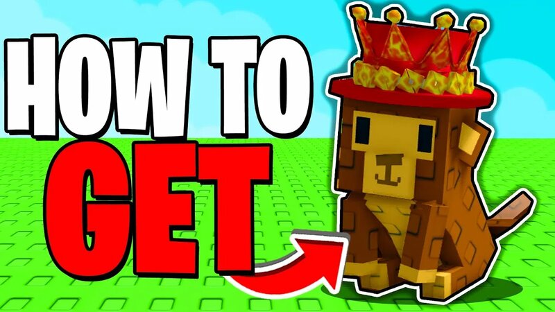 How To GET Jandel Monkey PET Showcase In Grow A Garden! Roblox ...