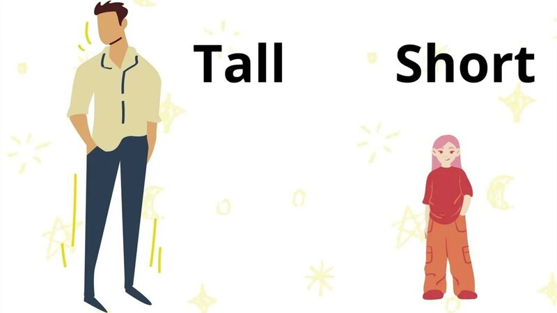 Tall and Short | Concept Tall and Short | Learn the Tall and Short ...