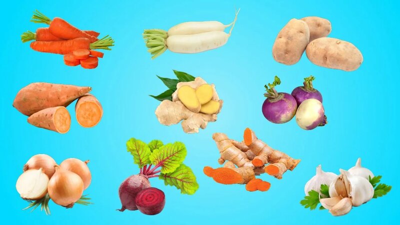 Root Vegetables video | What are Root Vegetables | Underground ...