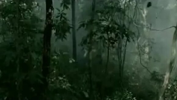 Лес смерти / Forest of Death — Видео от EKIN Cheng 鄭伊健 - Смотреть ...