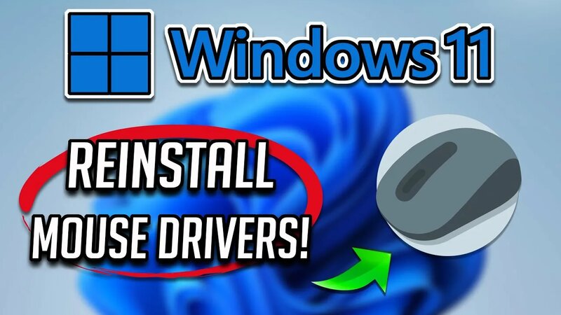 How to Update/Reinstall Mouse Drivers on a Windows 11/10 PC - Yandex ...