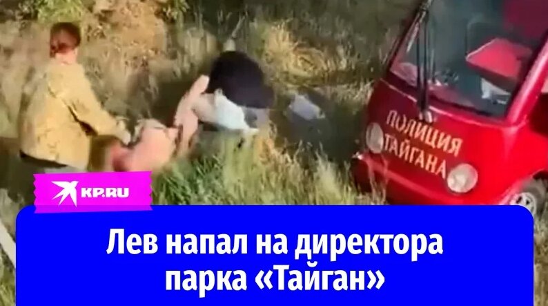 Директор парка «Тайган» Олег Зубков потерял сознание после нападения ...