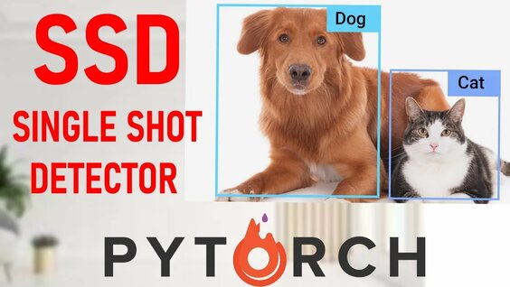 Pytorch Object Detection Using Ssd Model Object Detection Using Pytorchpytorch Ai Erofound 3342