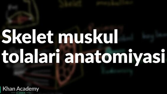 odam anatomiyasi atlas: 764 video Yandex'te bulundu