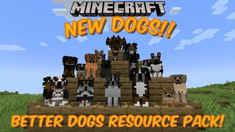 Minecraft New Dogs!! (Better Dogs Resource Pack 1.20+) - Смотреть ...
