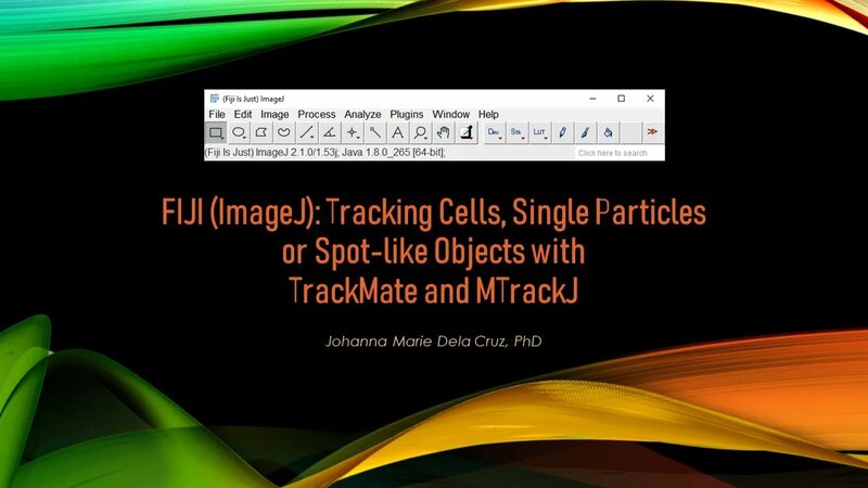 FIJI (ImageJ): Tracking Cells, Single Particles or Spot-like Objects with TrackMate and MTrackJ ...