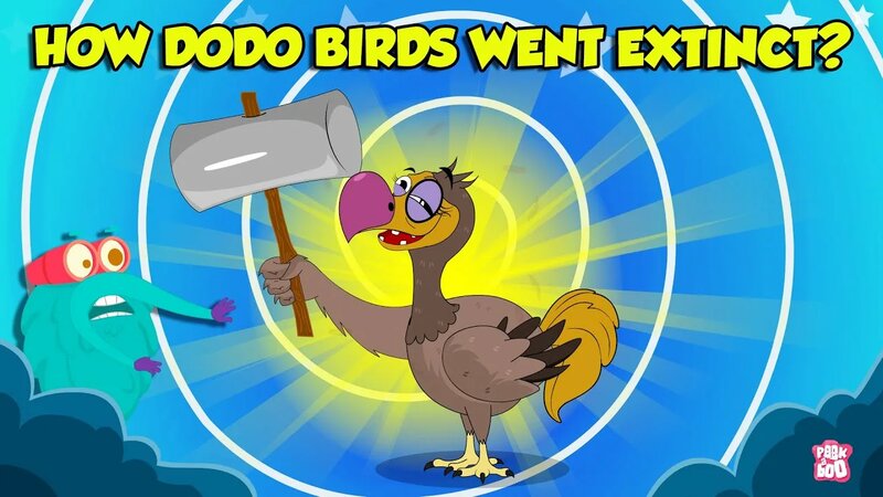 The Mysterious Extinction Of Dodo Birds | Story of Dodo Birds | Extinct ...