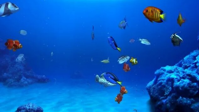 Aqua Real 2 - Ocean 5 (4K) - Смотреть онлайн в поиске Яндекса по Видео