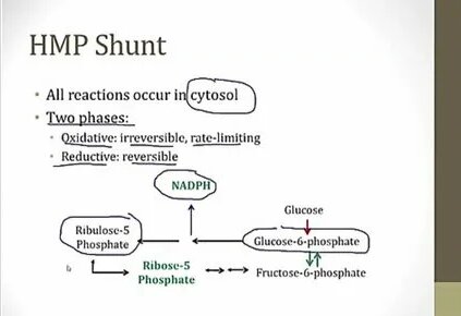 05 HMP Shunt - Watch online in Yandex video search