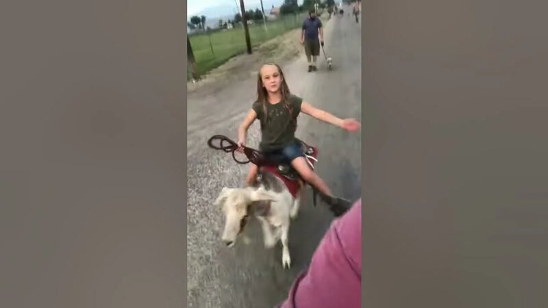 Goat Riding - Смотреть онлайн в поиске Яндекса по Видео