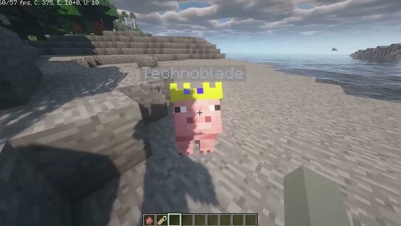 minecraft technoblade pig: 908 video Yandex'te bulundu