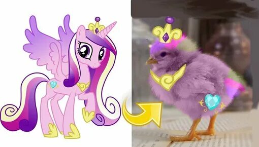 Princess Cadance as Chick MLP | Radius | Дзен - Смотреть онлайн в ...