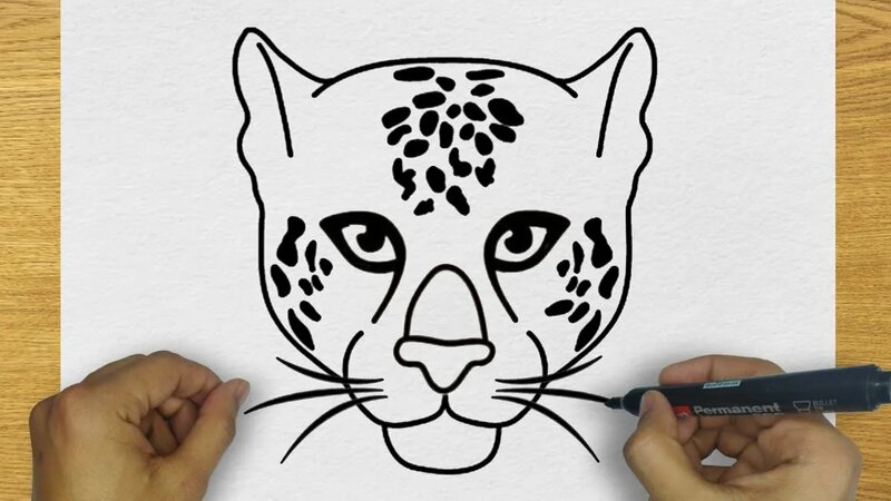 How to draw jaguar step by step | drawing a jaguar easy - Yandex Video ...
