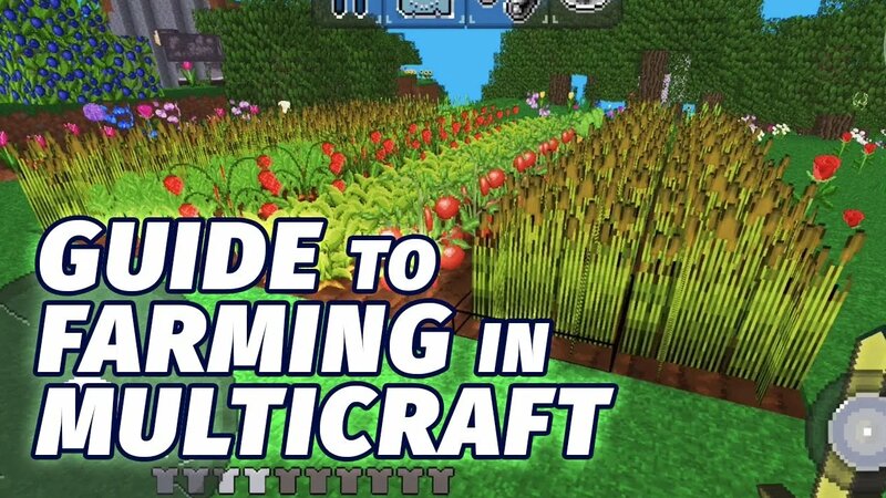 Farming in MultiCraft | How To Find Seeds and Plant Wheat And ...