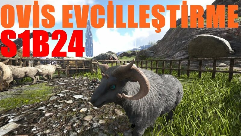Ovis Taming I Ovis Evcilleştirme I ARK Survival Evolved | Ragnarok ...