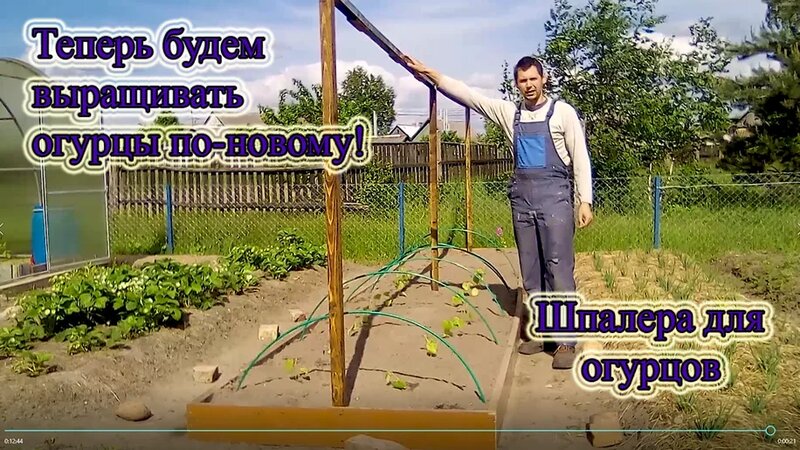 Шпалера для огурцов. Своими руками. Выращивание огурцов в открытом ...