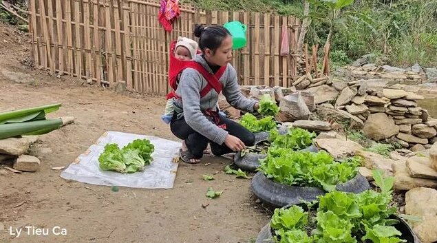 Harvesting Vegetables on the Farm to Sell & Raising More Wild Chickens ...