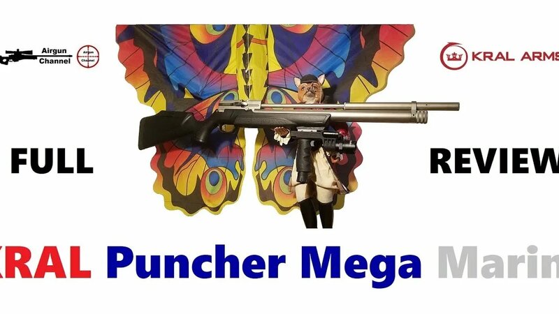 KRAL ARMS Puncher MEGA Marine (Full Review) a Most Accurate PCP Air ...
