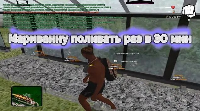 Подробный гайд на огороды (Radmir RP). Как много Заработать. - Смотреть онлайн в поиске Яндекса ...