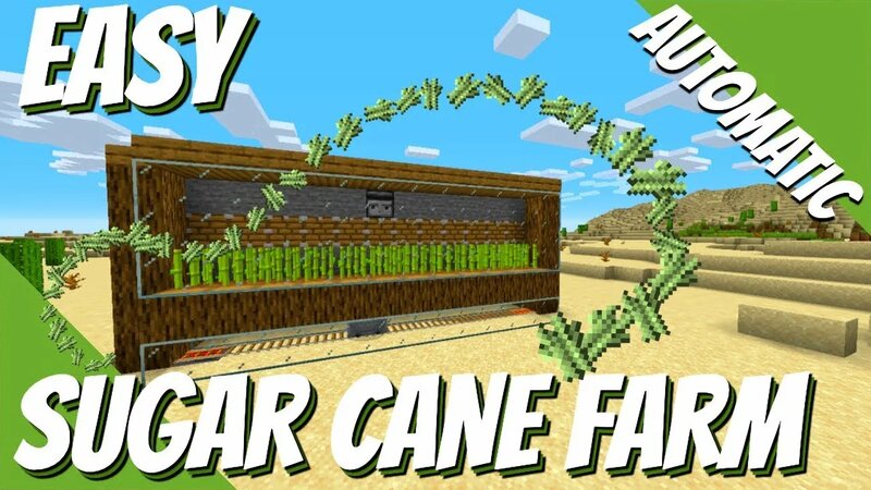 How to Make a Sugar Cane Farm in Minecraft 1.14+: Minecraft Sugar Cane ...