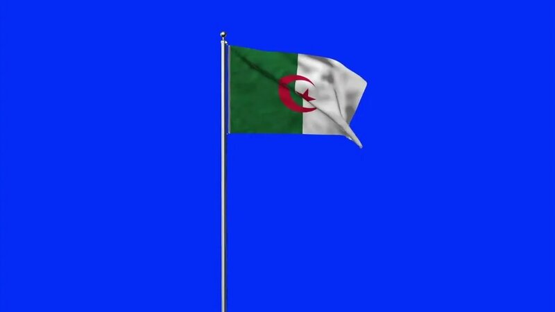 Flag of Algeria | Green screen Footage | Прапор Алжира | Флаг Алжира ...