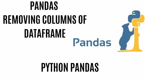Removing Columns From Pandas Dataframe Drop Columns In Pandas 