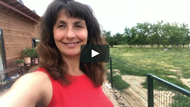 Tsetsi - a Day at the Farm!