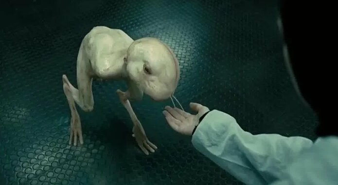 Splice 2009 - Смотреть онлайн в поиске Яндекса по Видео