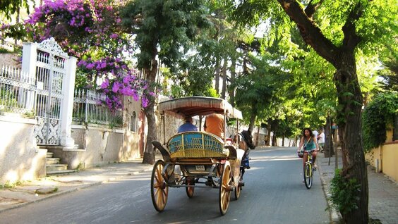 büyükada fayton resimleri: 764 video Yandex'te bulundu