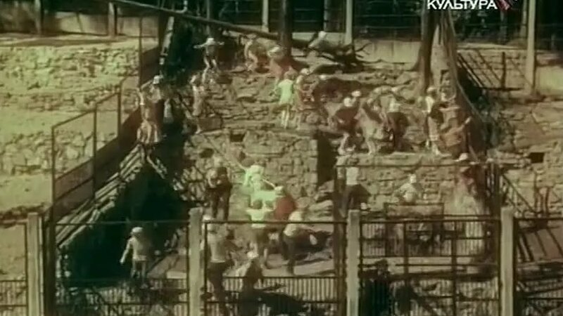 ЭТОТ Негодяй Сидоров (1983) — Видео от Proschool - Смотреть онлайн в ...